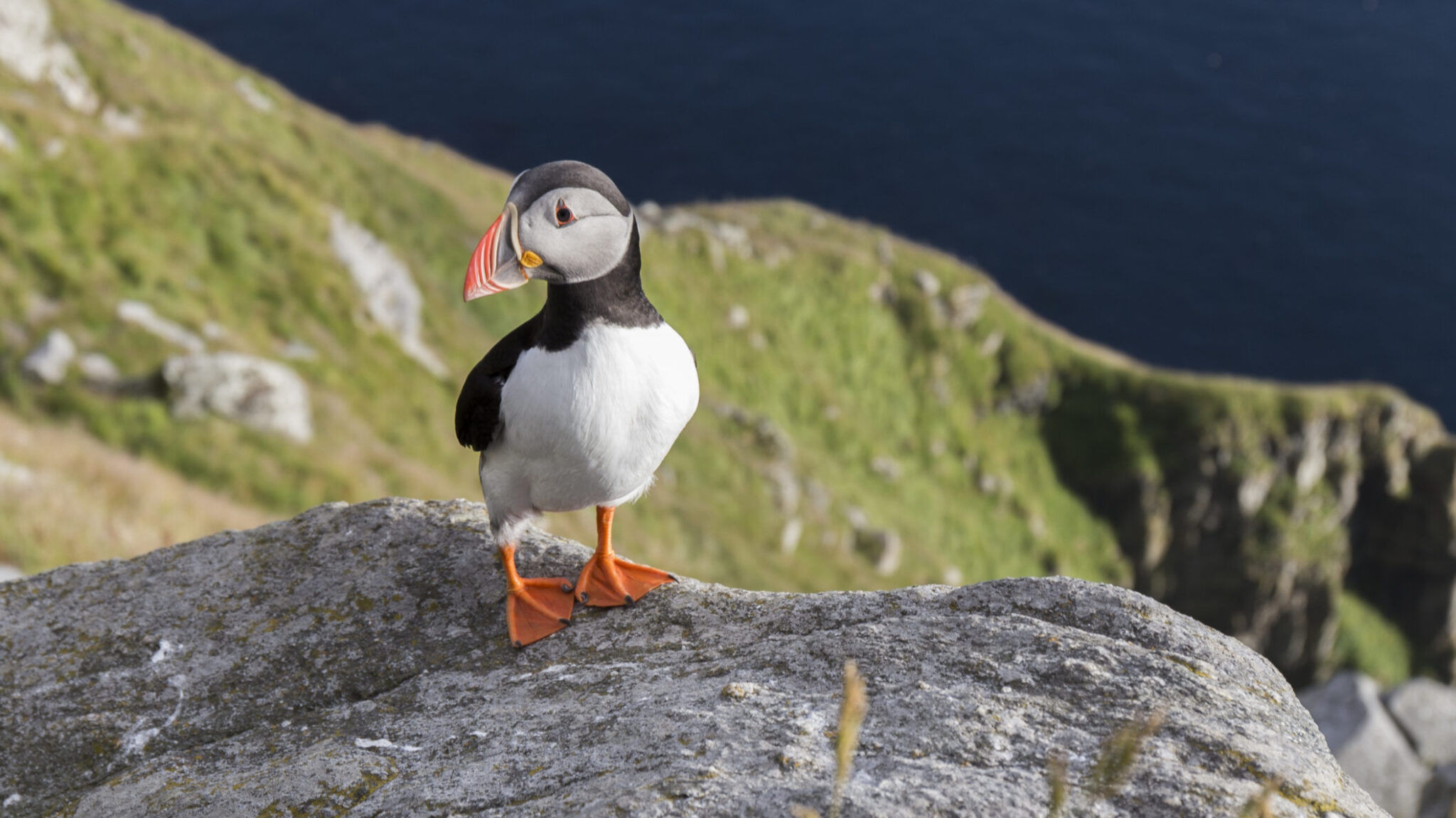 The Royal Scandic Capitals and Majestic Fjords | Nordiva Tours