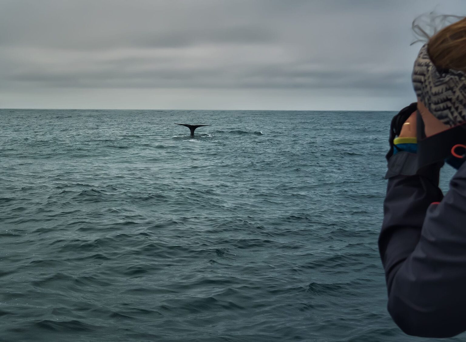 Vesterålen, Norway | 11 best things to do in Vesterålen islands